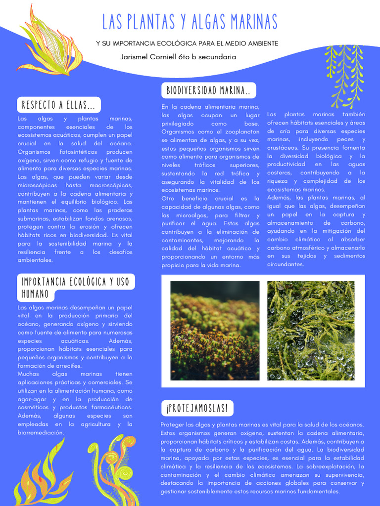 Poster Científico Académico Algas y Plantas Marinas Dibujo Vector Azul y Blando | PDF ...