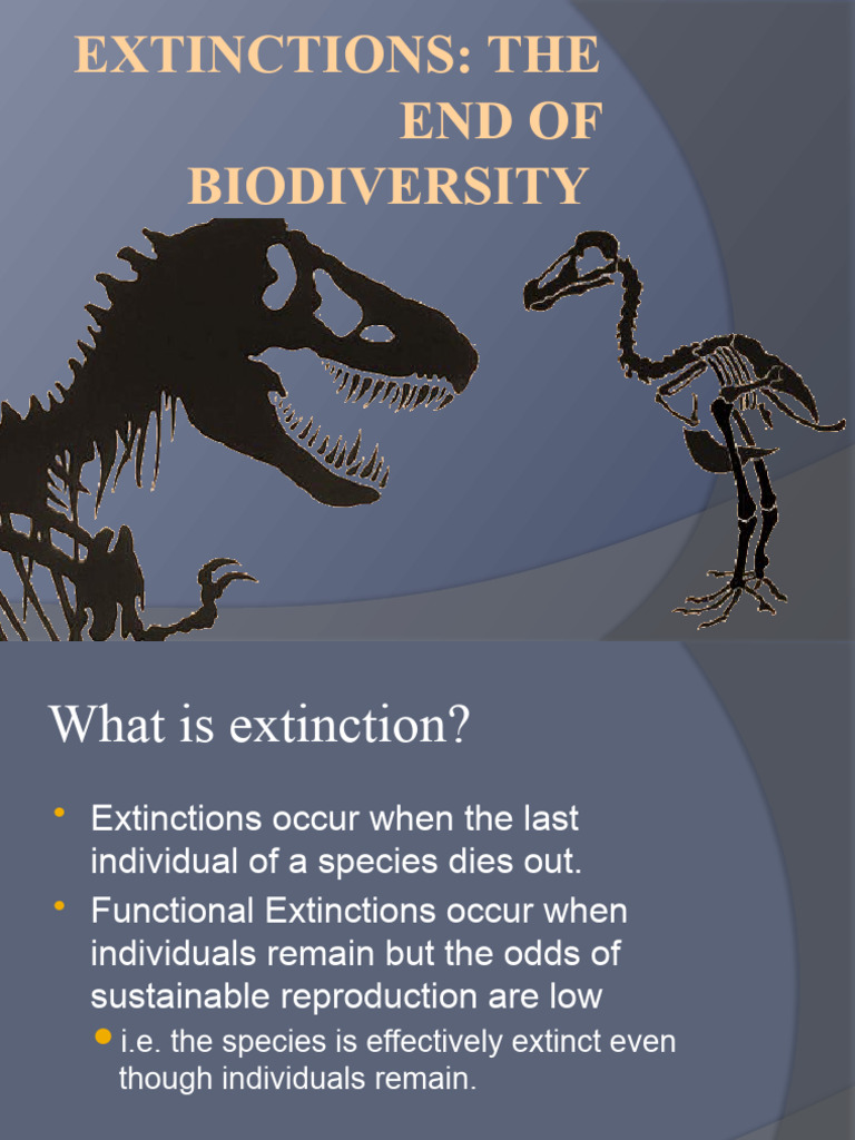 Extinctions | PDF
