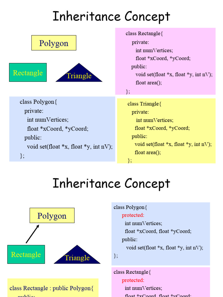 Inheritance | PDF