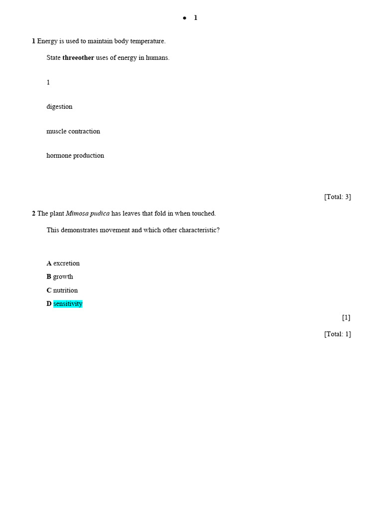 Copia Di Summer Holidays 2C | PDF | Leaf | Photosynthesis