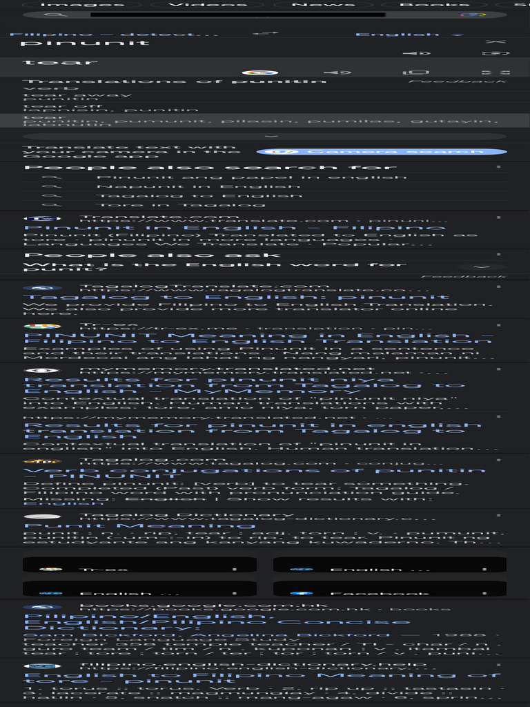 English Translations of "Punit" Terms | PDF | Tagalog Language | English Language