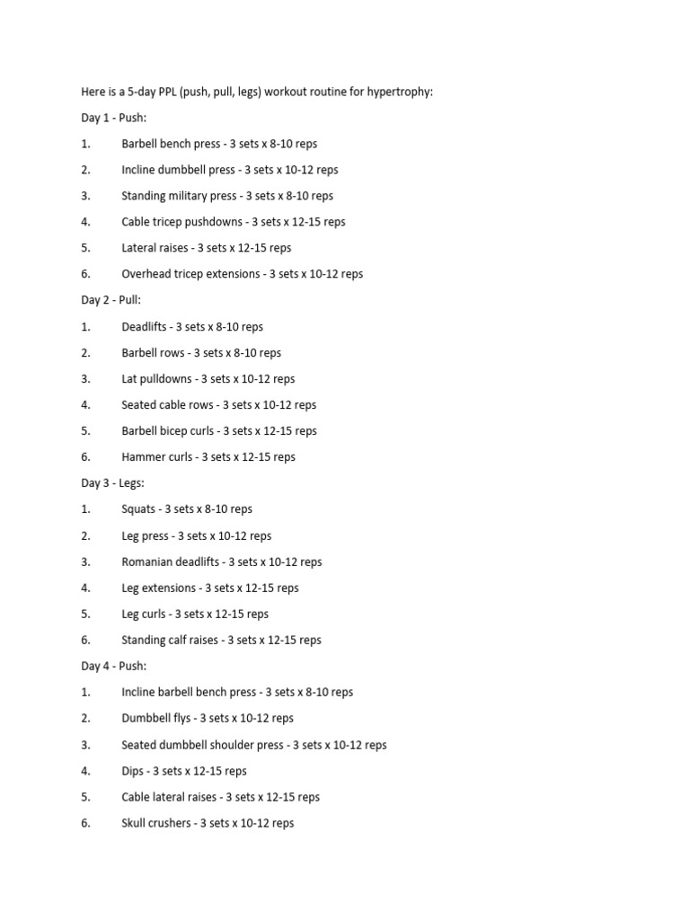 PPL Workout ChatGPT | PDF