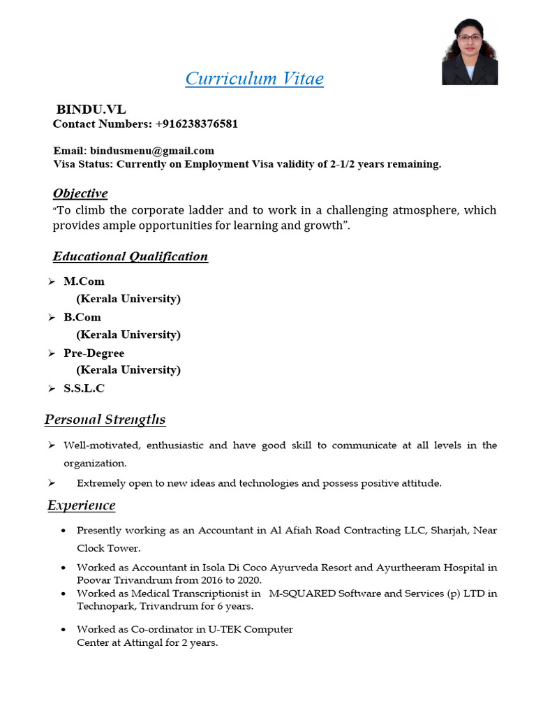 CV Creation Guidelines for Professionals | PDF | Career & Growth | Business