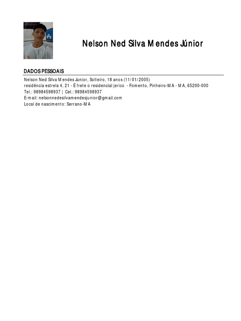 Cv Nelson Ned Silva Mendes Júnior | PDF