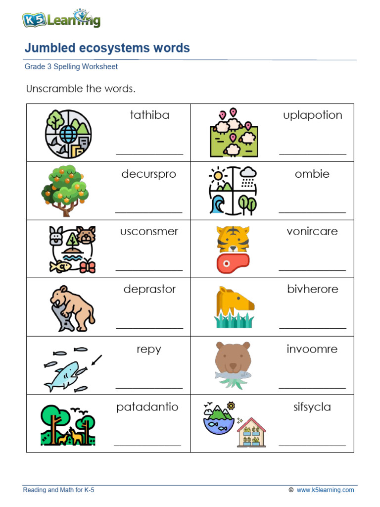 Grade 3 Jumbled Spelling Words Zwe | PDF