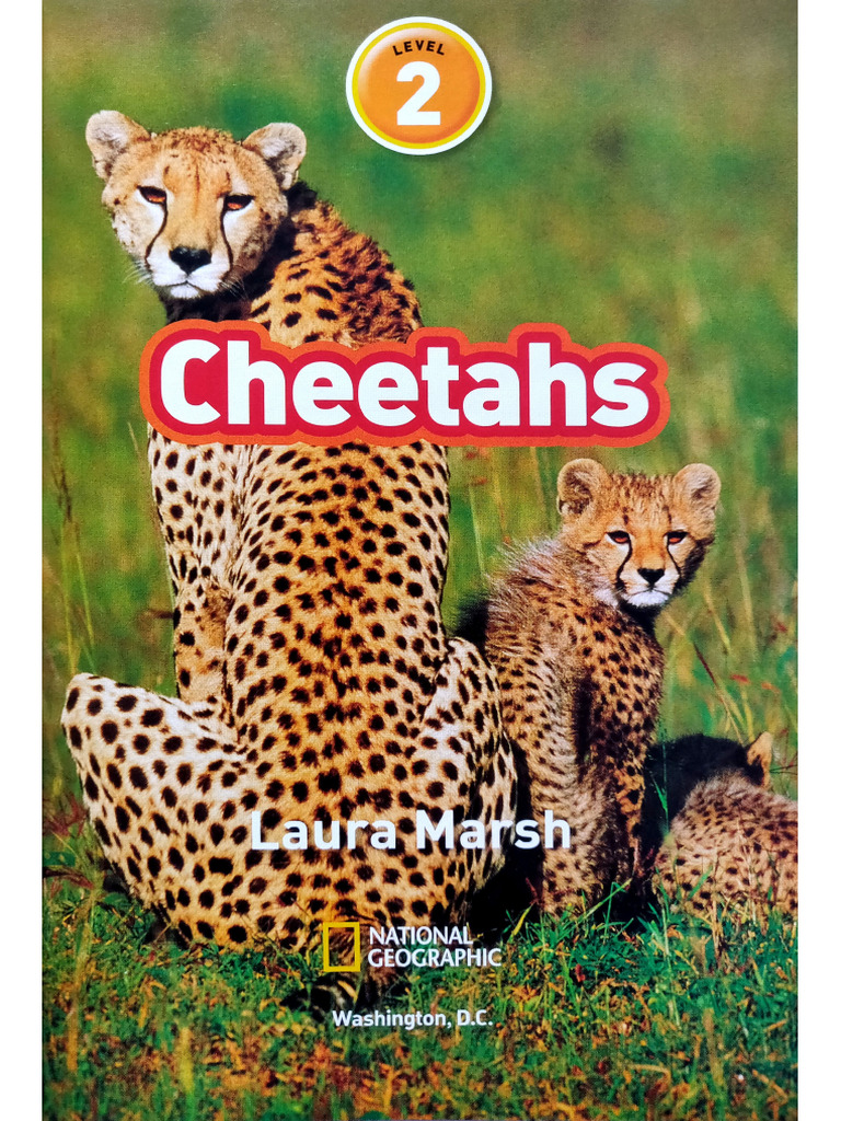 Cheetahs | PDF
