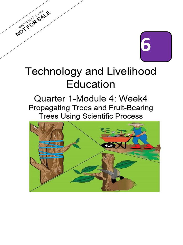 TLE Quarter 2 Module 4 ADM | PDF