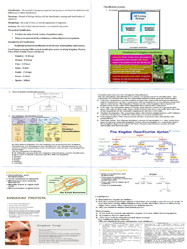 Se1 Unit 2 Revision | PDF