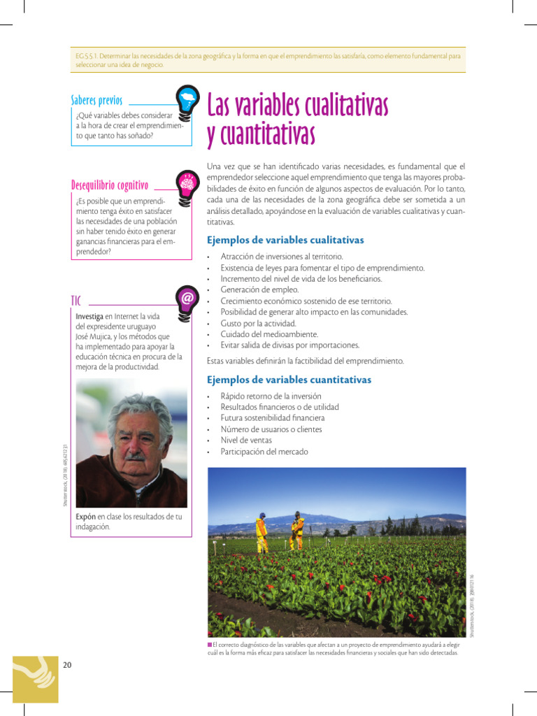 PG 20,21 Emp | Descargar gratis PDF | Iniciativa empresarial | Business