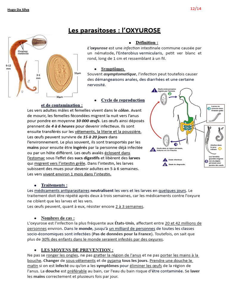 Oxyurose : Définition et Traitement | PDF | Médecine | Appareil digestif