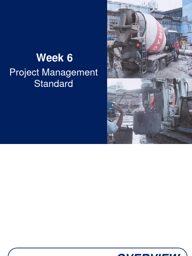 MPK Bab 6 Project Management Standard | PDF