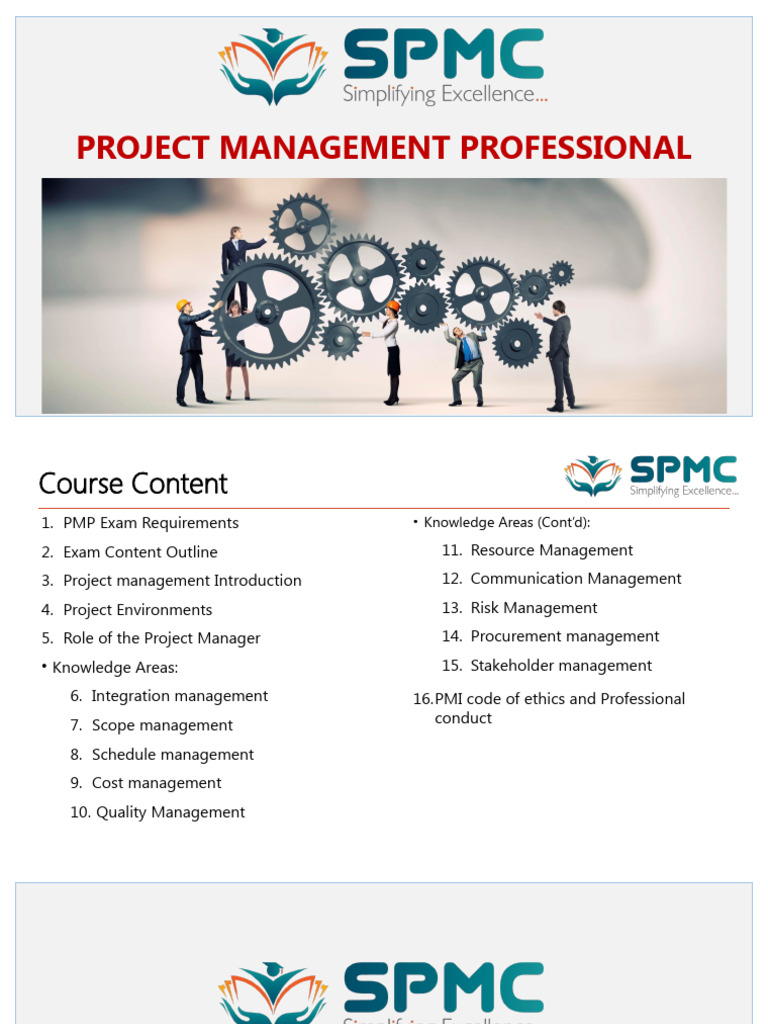 PMP - Chapter 1 - INTRODUCTION | PDF | Art