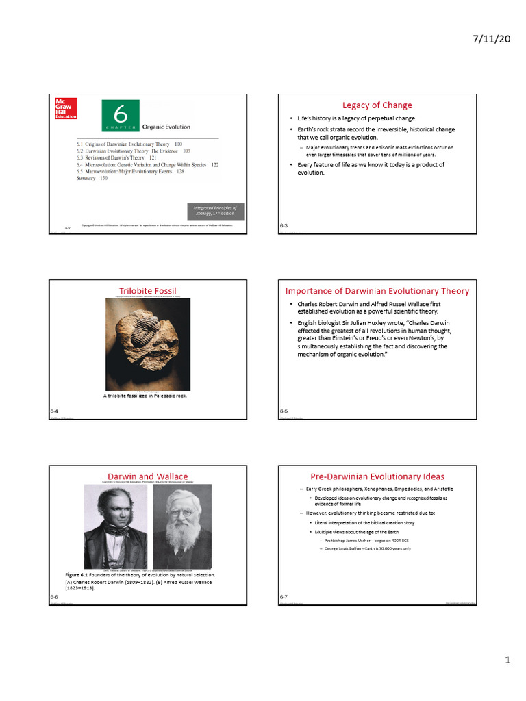 Part Two CH 6a | PDF | Evolution | Homology (Biology)