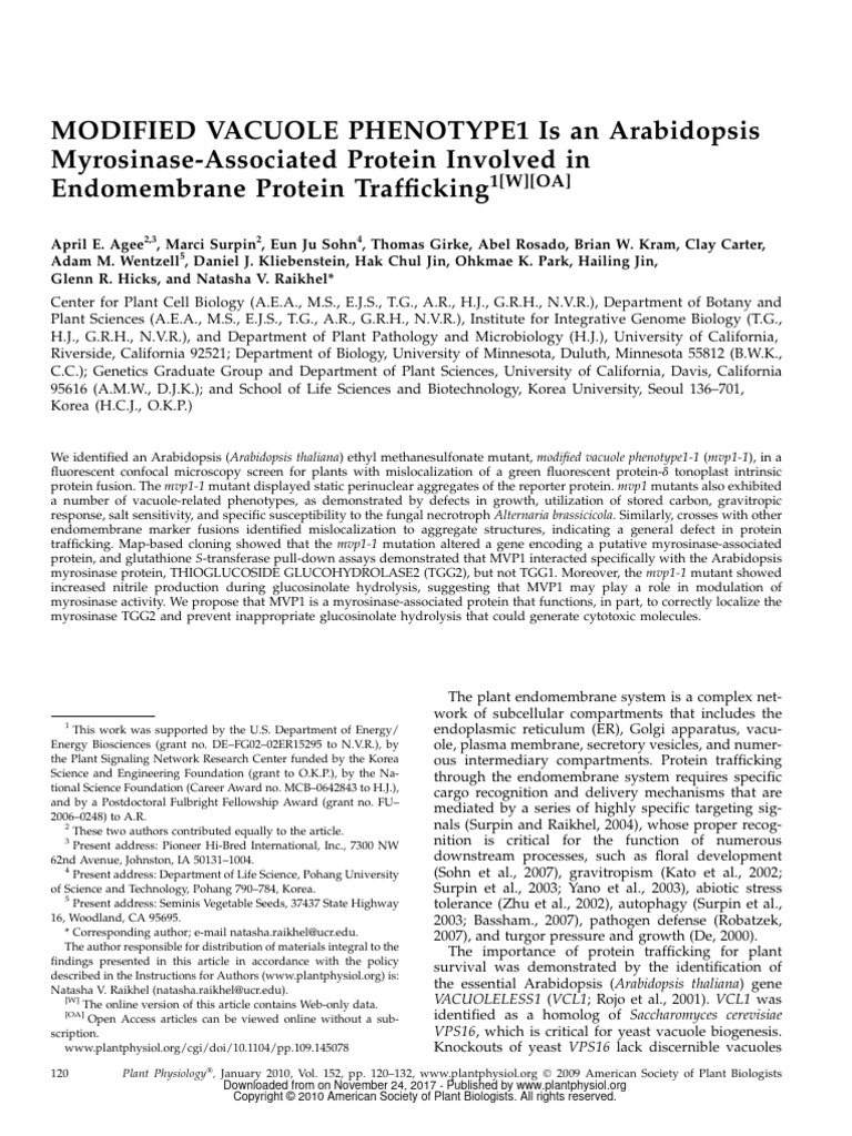Modified Vacuole Phenotype1 is an Arabid | PDF
