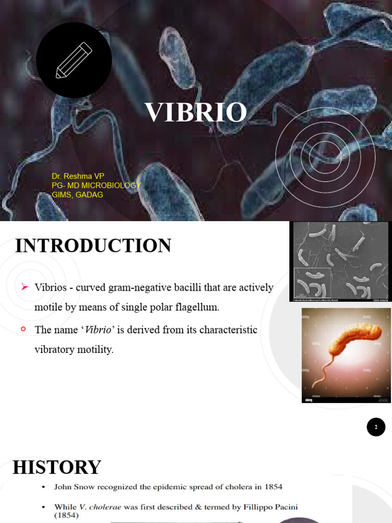 VIBRIO | PDF | Science & Mathematics