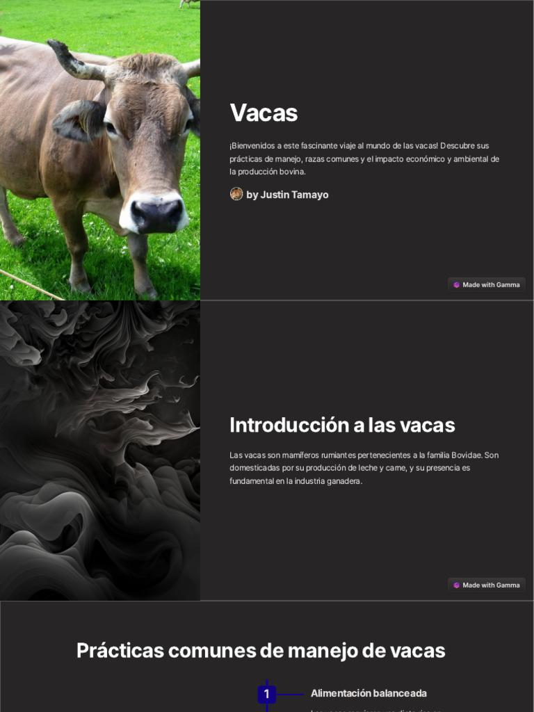 Vacas | PDF