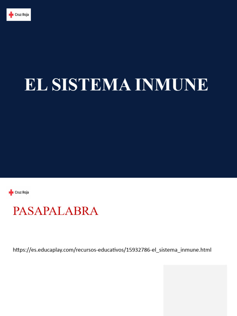 El Sistema Inmune | PDF | Sistema inmune | Linfocitos
