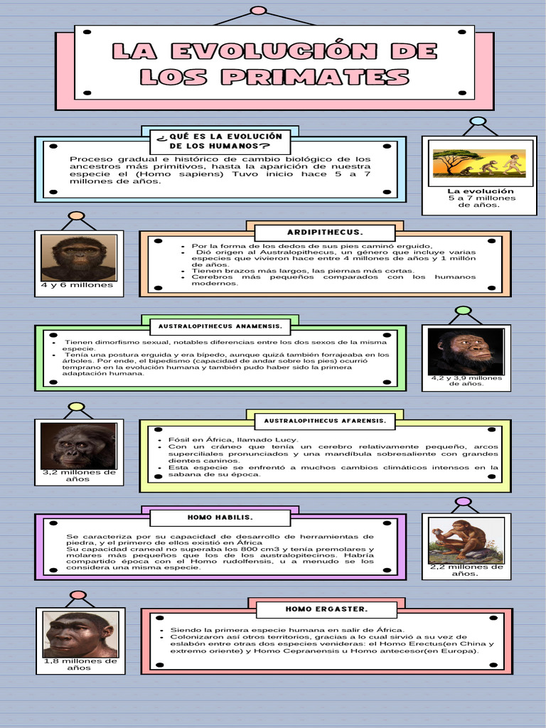 Evolución de Los Primates. | PDF