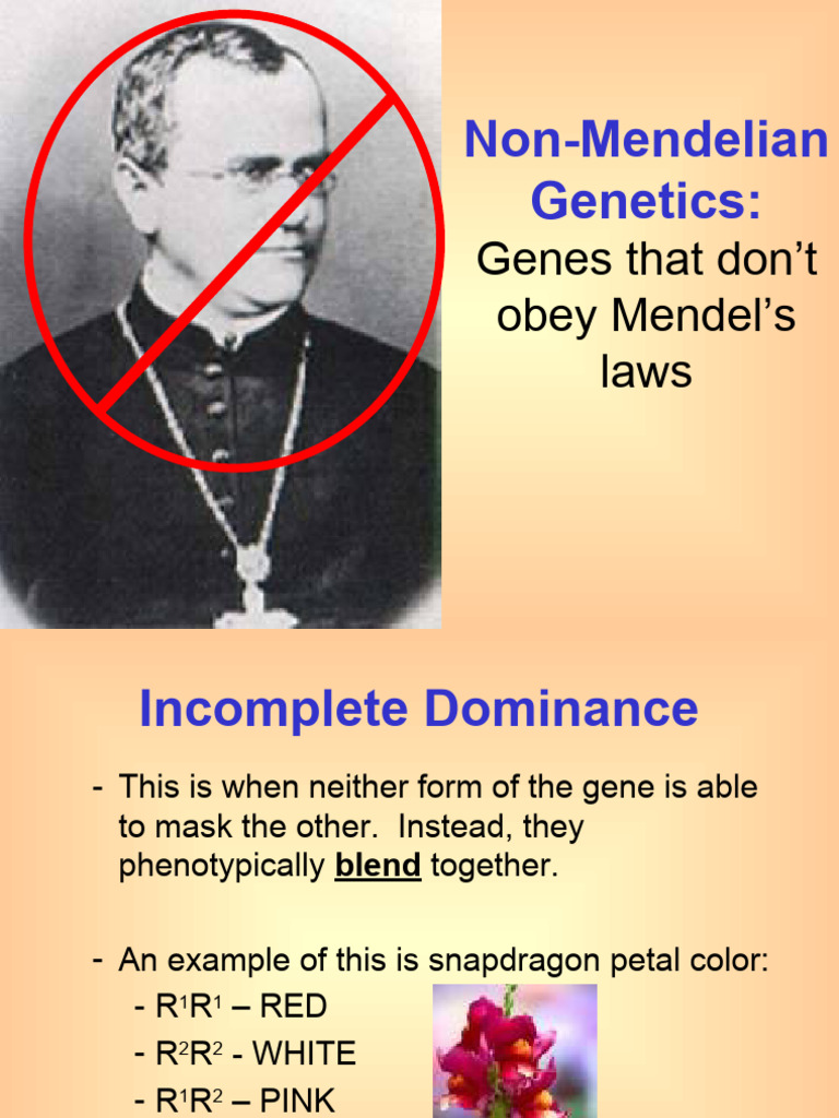 Science 9 Week 3 Non Mendelian Genetics | PDF | Dominance (Genetics ...