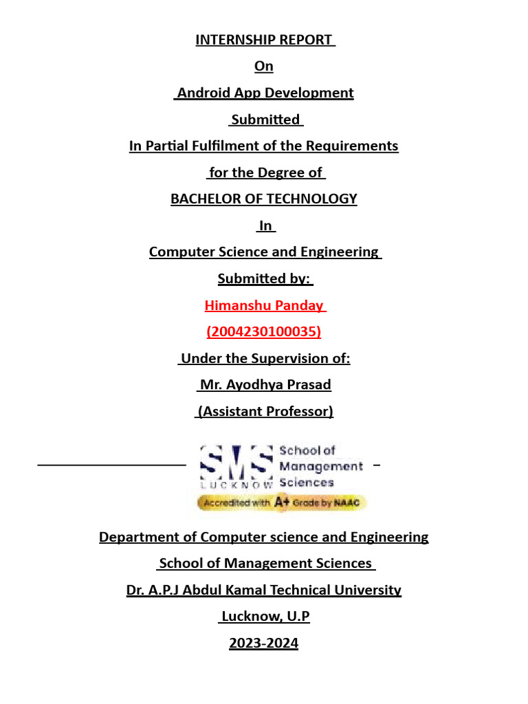 Internship Report | PDF