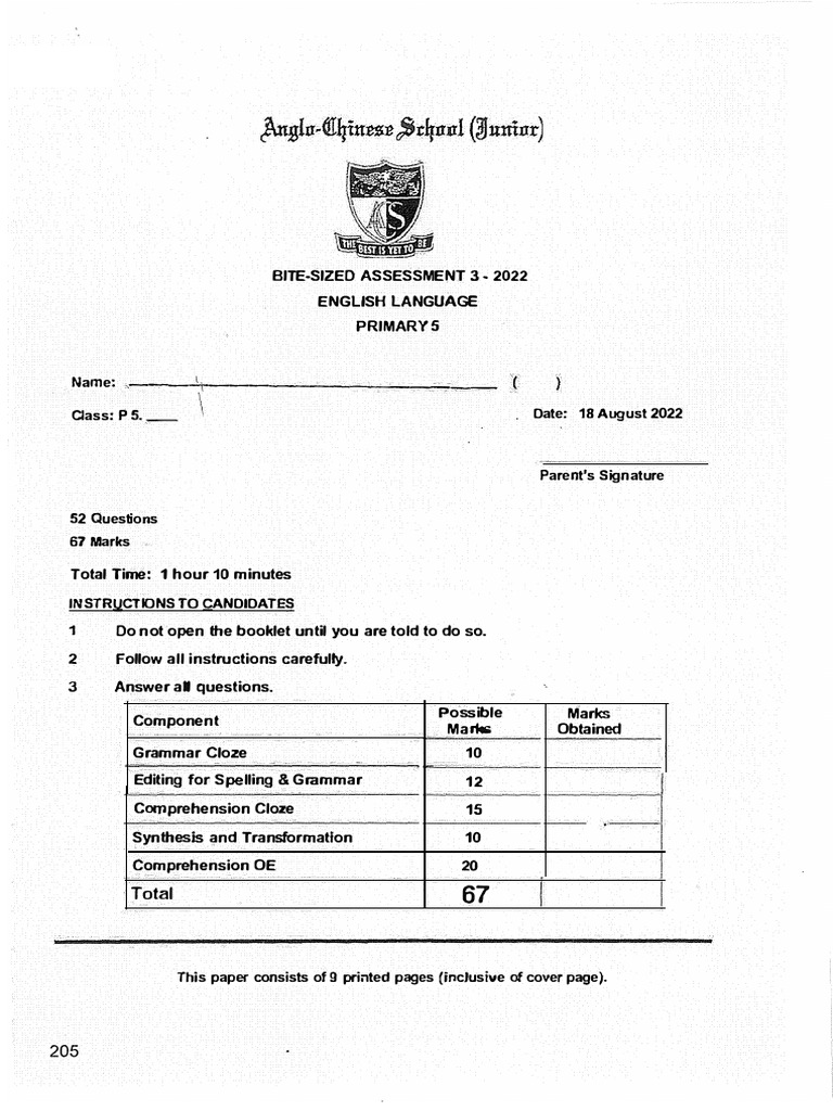 P5 English ACSJ 2022 BA3 Exam Papers | PDF