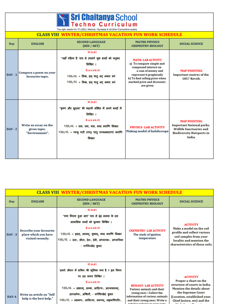 Class VIII Vacation Fun Work Schedule | PDF | Earth Sciences | Science