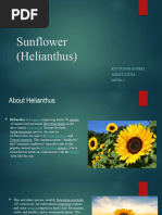 BBCH Scale: A Global Phenology Tool | PDF | Cucurbita | Cabbage