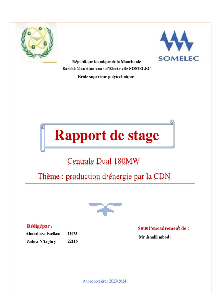 Rapport de Stage Final | PDF
