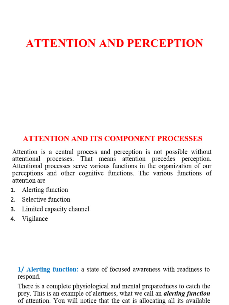 4-Perception (Not Teaching) | PDF | Perception | Attention