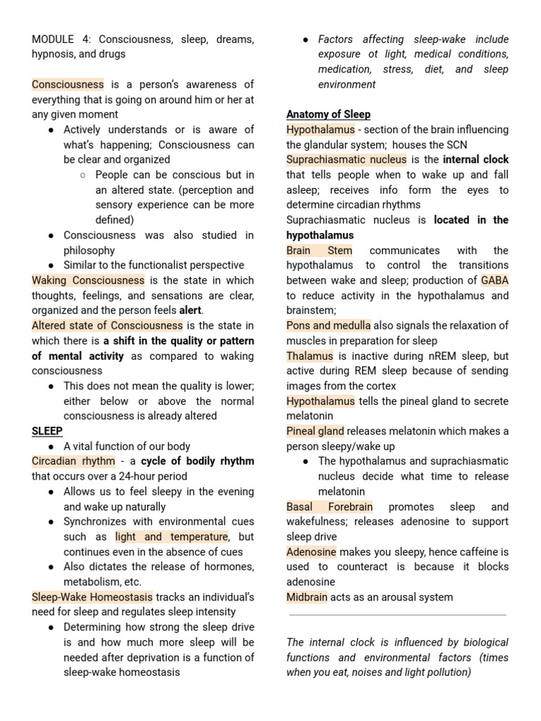 Consciousness, Learning, Memory | PDF