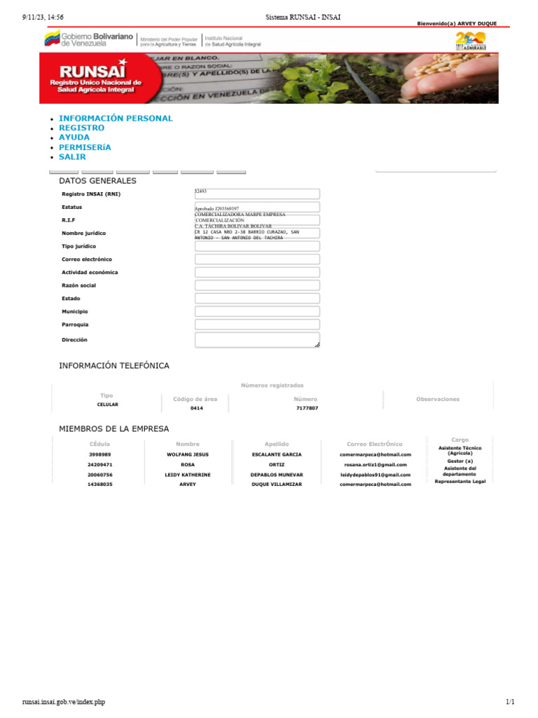 Sistema RUNSAI - INSAI | PDF