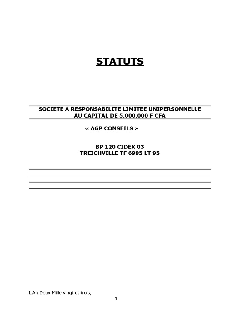 Statuts Agp Conseils | PDF | Finance et gestion monétaire