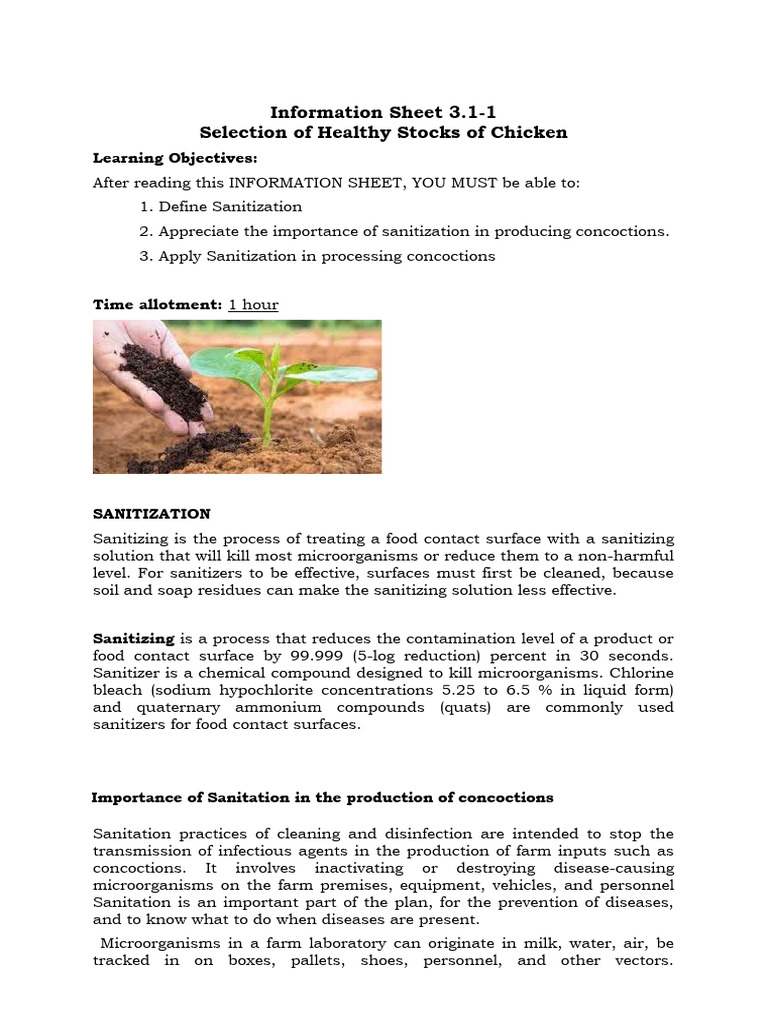 Information Sheet Sample | PDF