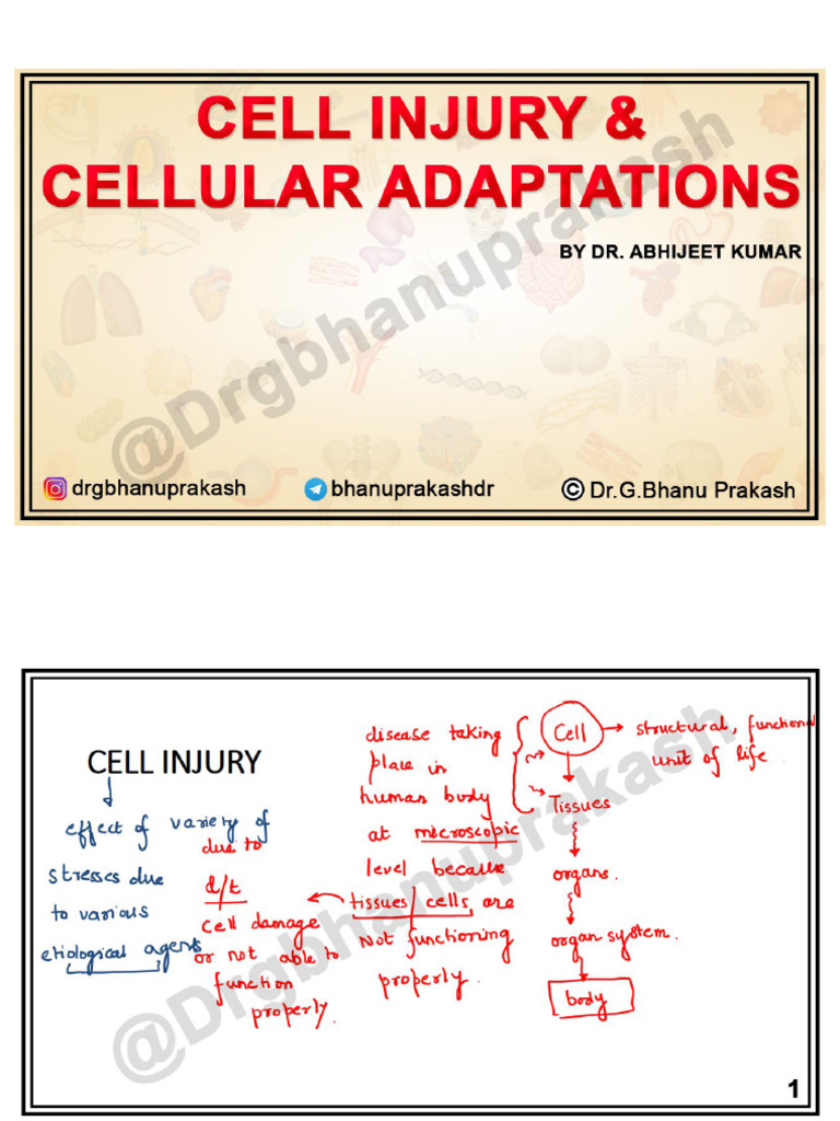 Cell Injury and Cellular Adaptations | PDF