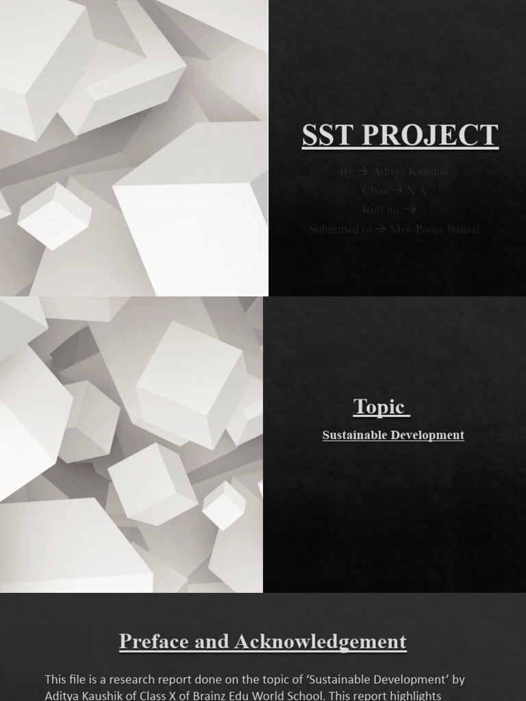 SST PROJECT by Aditya Kaushik | PDF | Sustainability | Climate Change ...