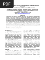 Panduan Lengkap Anatomi Ayam | PDF