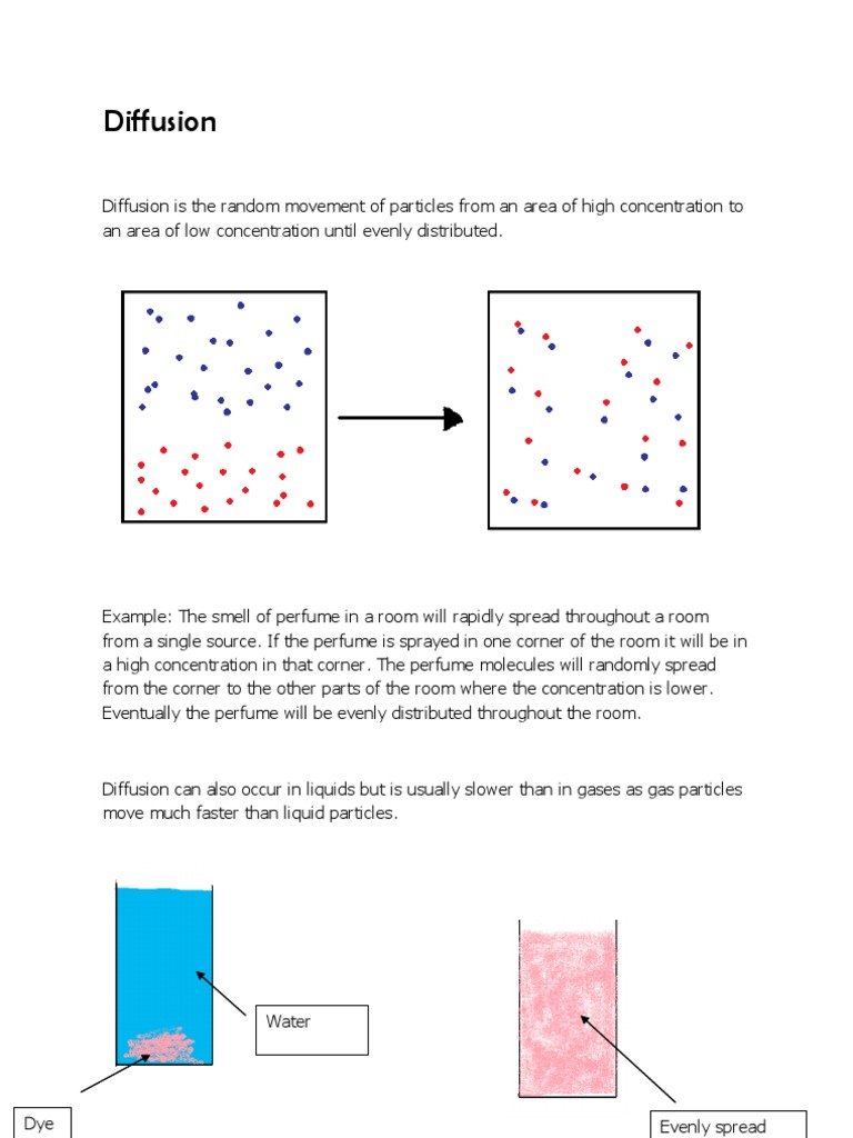 Diffusion, Osmosis and Cell Notes. | Osmosis | Cell Membrane