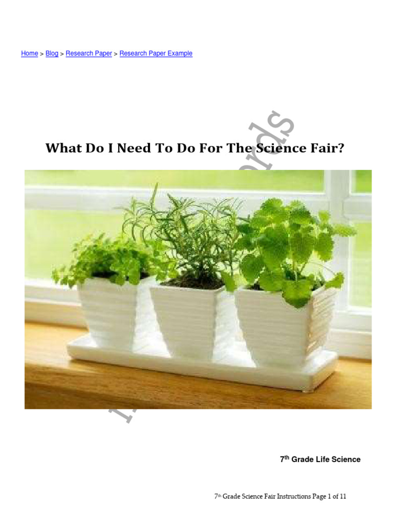 What Do I Need To Do For The Science Fair PDF | PDF | Abstract (Summary ...