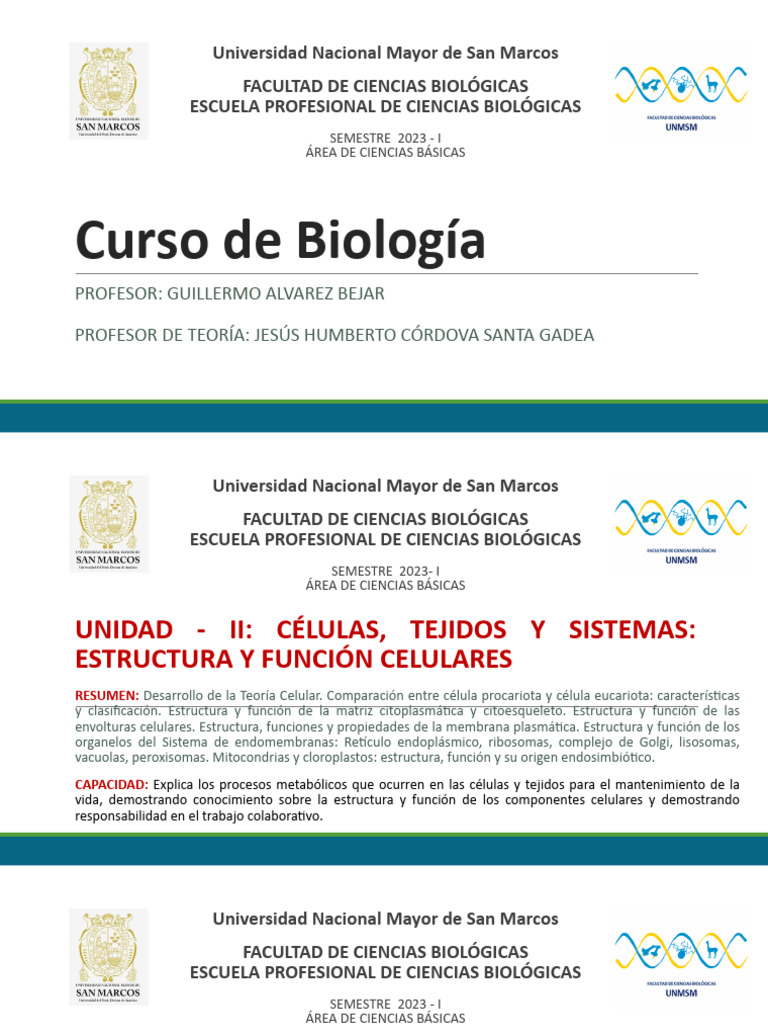 Estructura y función de membranas celulares | PDF | Membrana celular ...