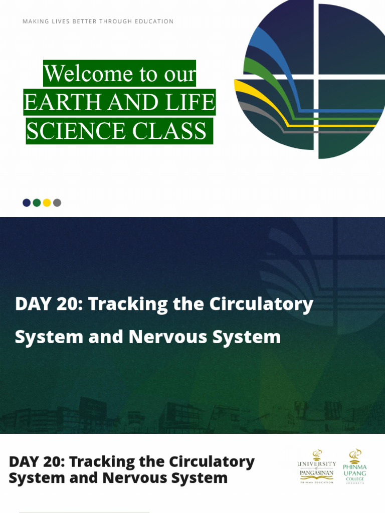 COR 007 DAY 20 | PDF | Heart | Central Nervous System