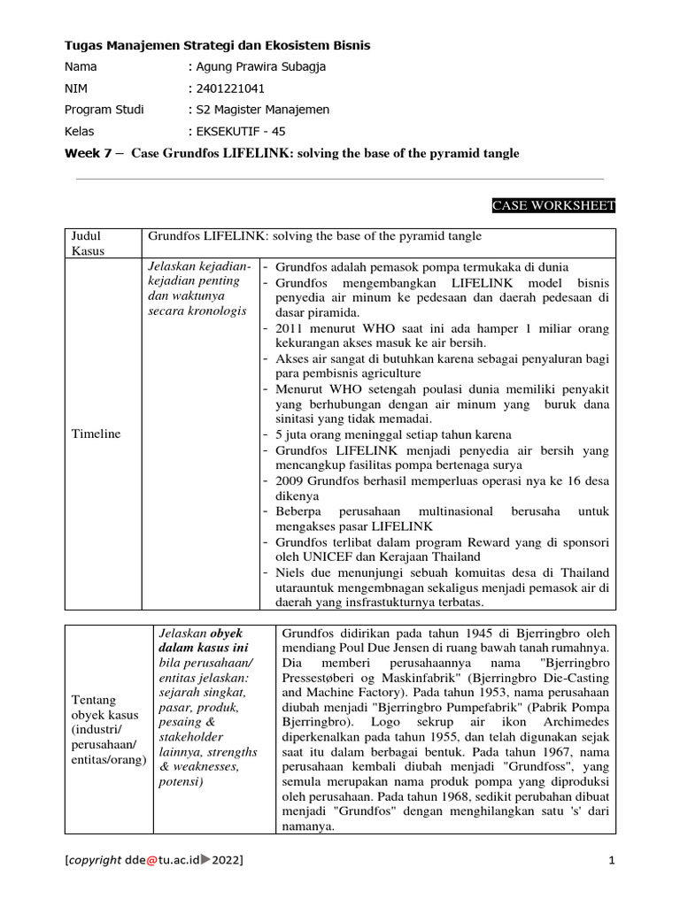 SMBE - Tugas Grundfos LIFELINK Solving The Base of The Pyramid Tangle | PDF