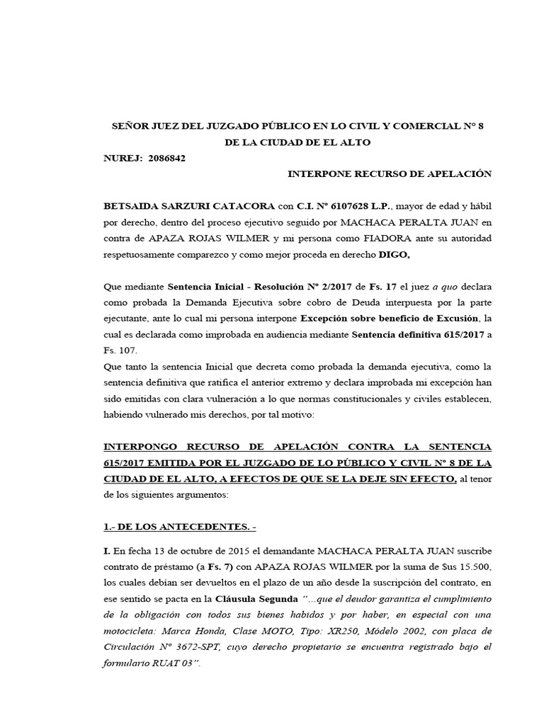 Apelacion Civil | PDF | Sentencia (ley) | Debido al proceso