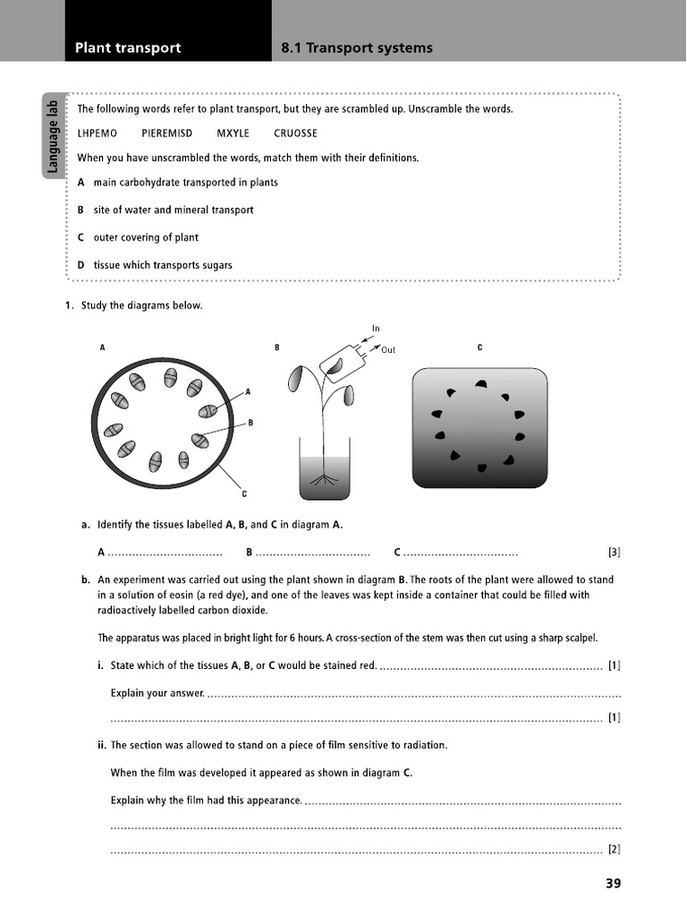 G8 Essential Biology Workbook 43 | PDF