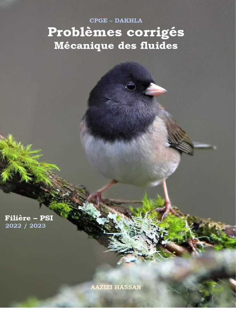 Mec Des Fluides Dakhla | PDF