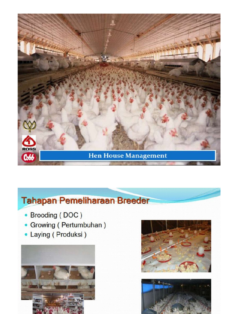 Managing Hens | PDF | Breathing | Chemistry