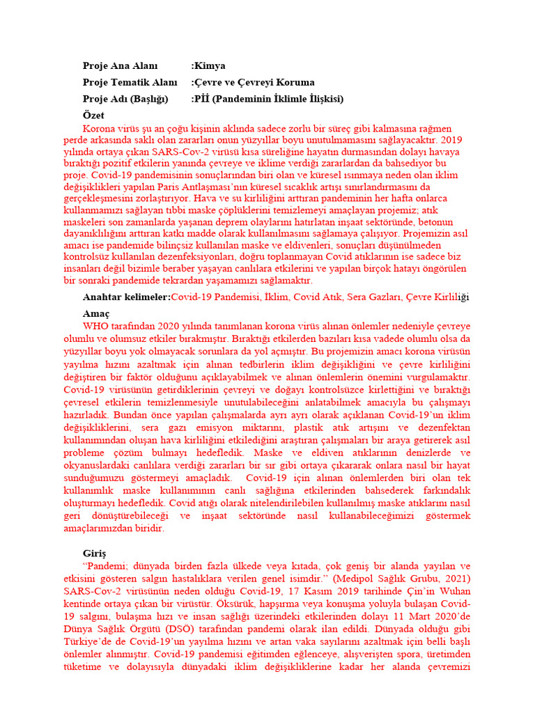 Proje Yazma Şablonu | PDF