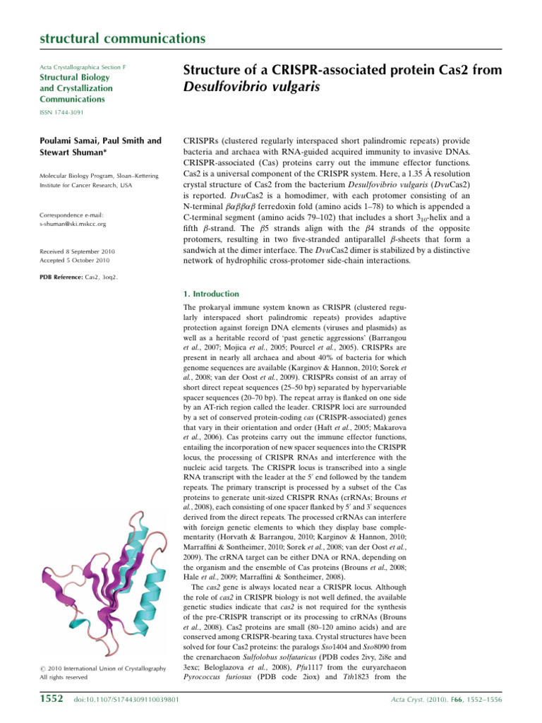 Structure of A CRISPR-associated Protein Cas2 From Desulfovibrio ...