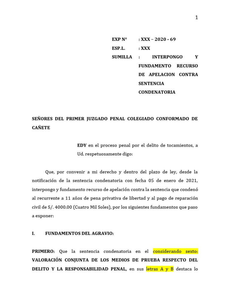 Modelo Apelacion Sentencia Ncpp 2 | PDF | Sentencia (ley) | Apelación