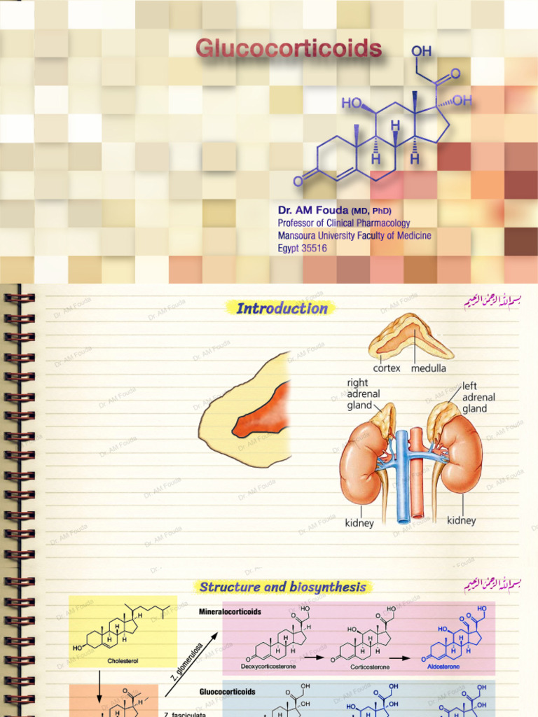 DR Fouda - Glucocorticoids | PDF