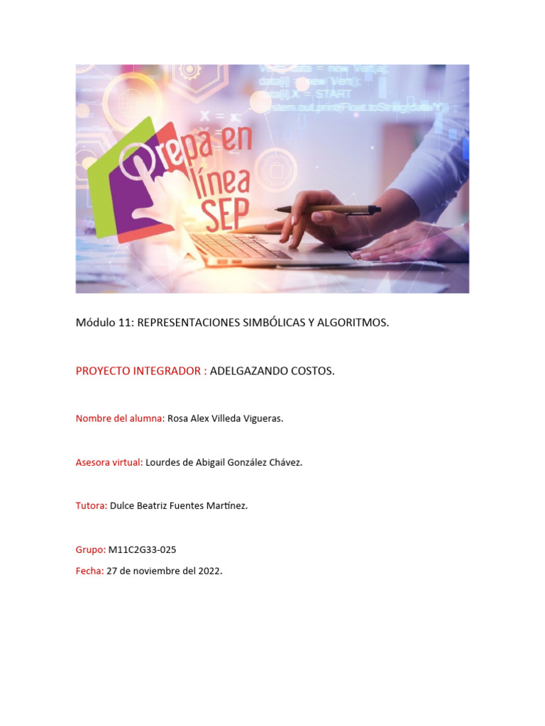 Proyecto Integrador Módulo 11 | PDF